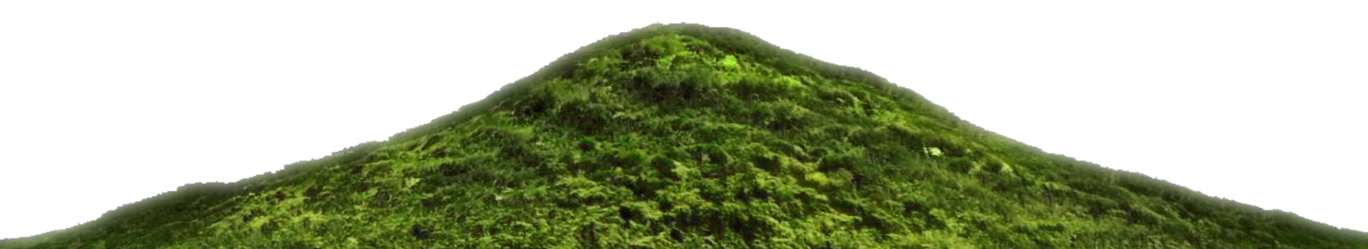 Champion of the hill!